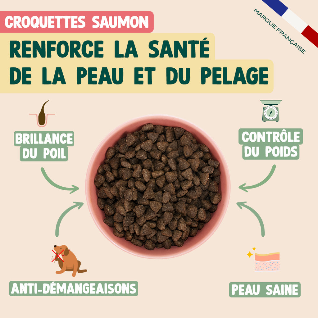 Croquettes chien peau sensible - Pelage brillant & apaisé – Franklin