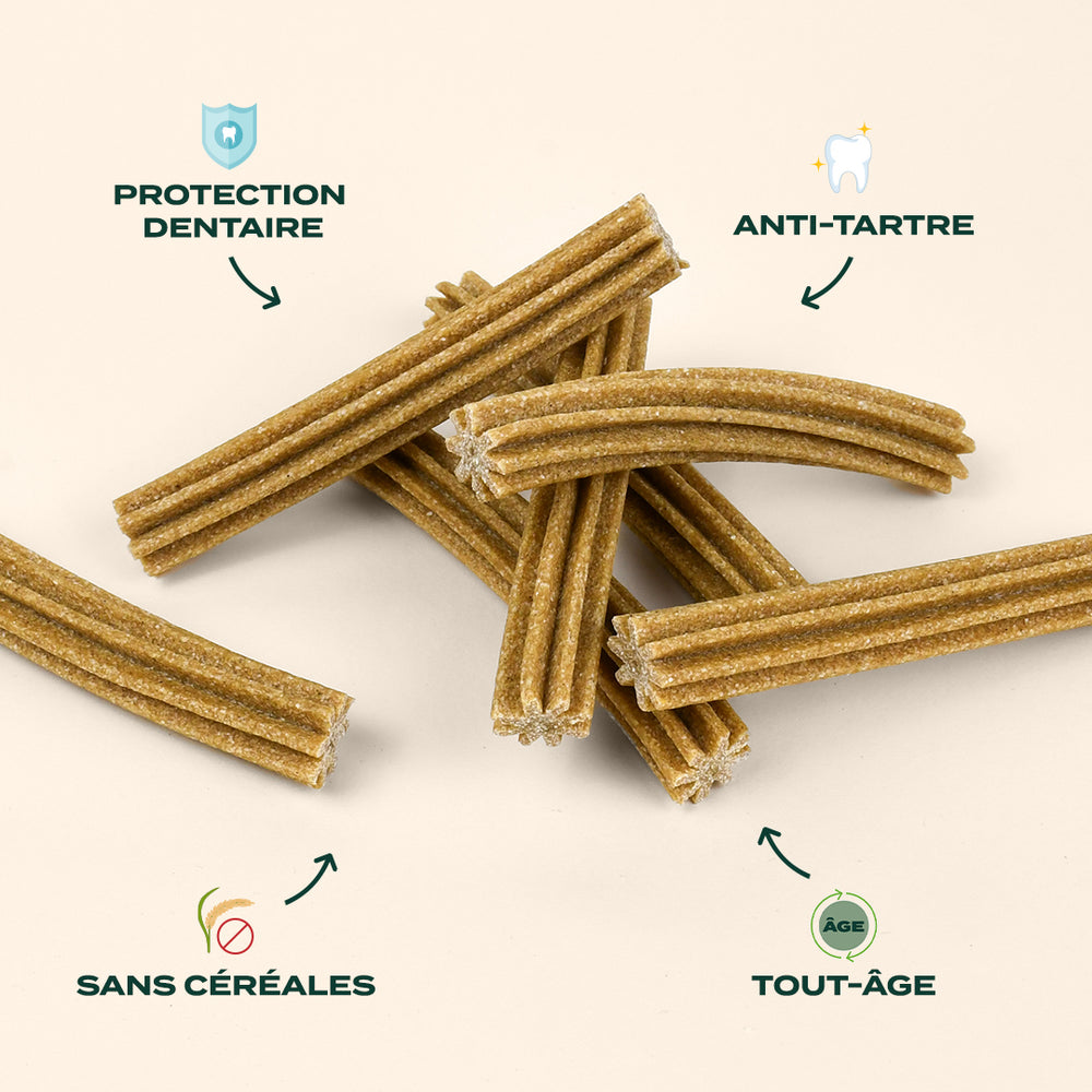 Sticks dentaires pour chien à mâcher - friandises pour chien sans ...