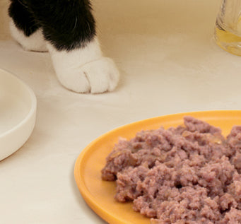 Pâtée pour chat - La meilleure pâtée pour chat sans céréales – Franklin