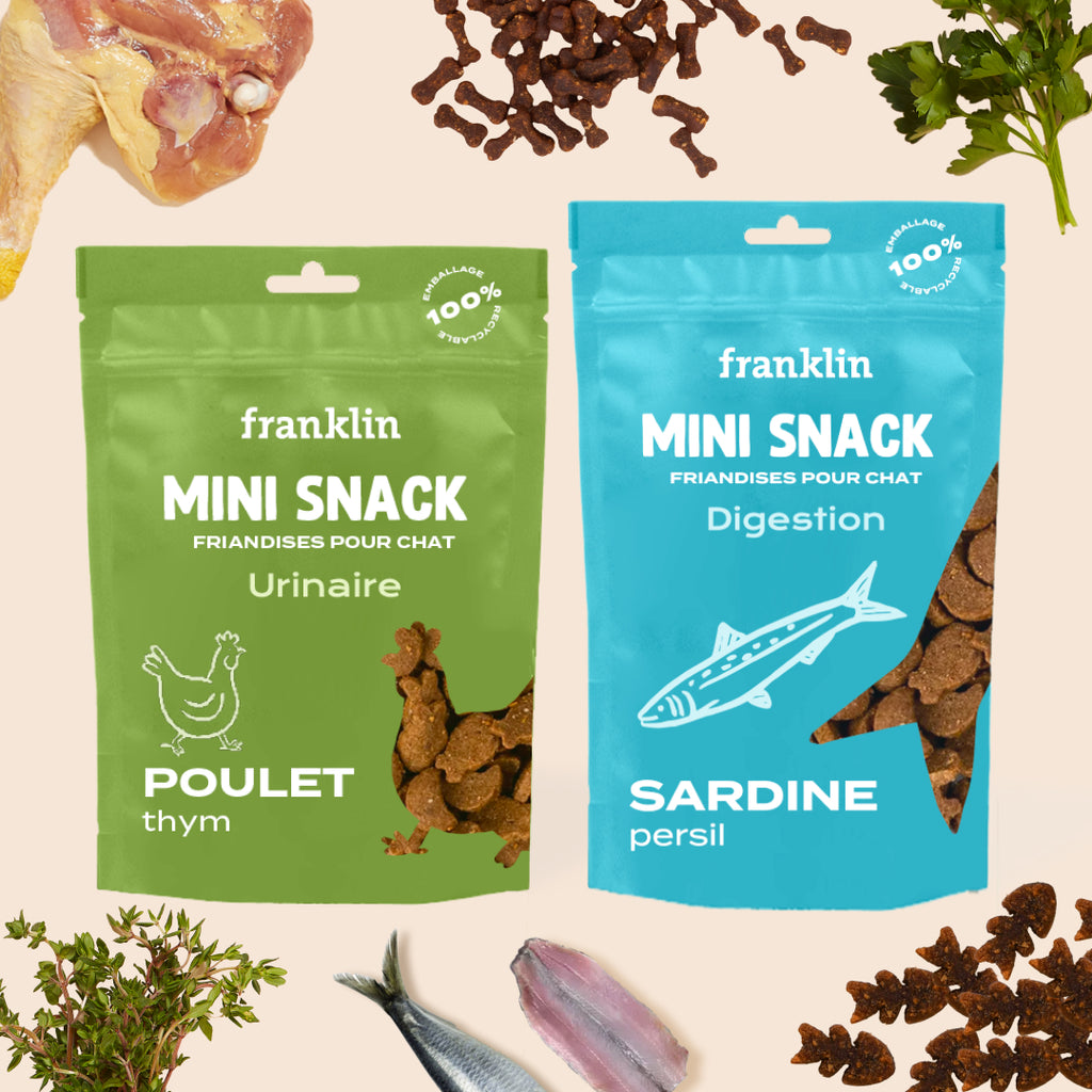 DUO MINI SNACK – Franklin
