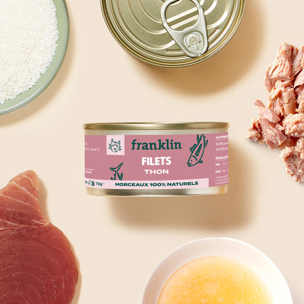 Chien qui bave : causes et solutions – Franklin