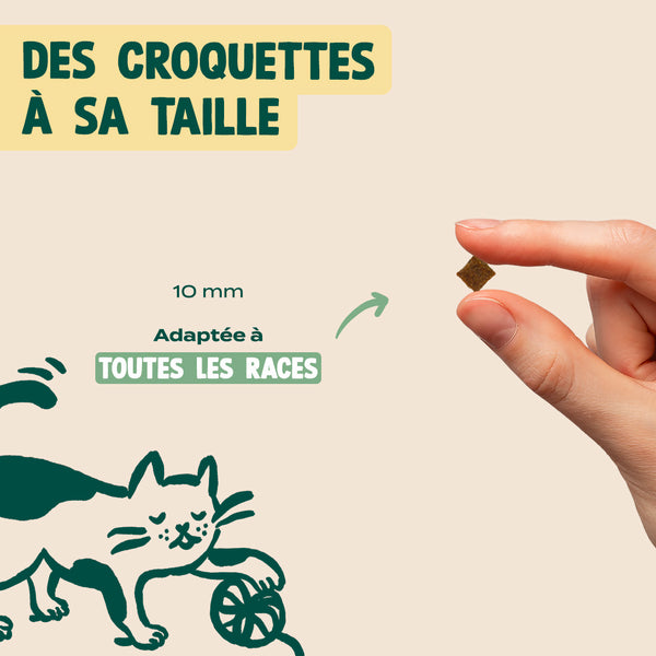 Croquettes chat stérilisé - Croquettes chat AGNEAU, DINDE, VALERIANE ...