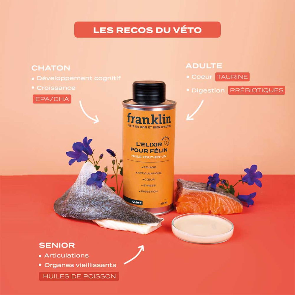 ÉLIXIR FÉLIN – Franklin